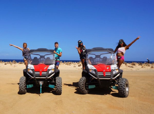 Escort Girl Activities Aruba | Tour The Island With your Favorite Companion
